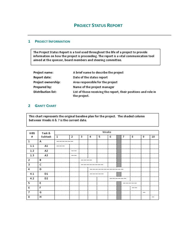 PPMP20010 Project Status Report - Template | PDF | Business
