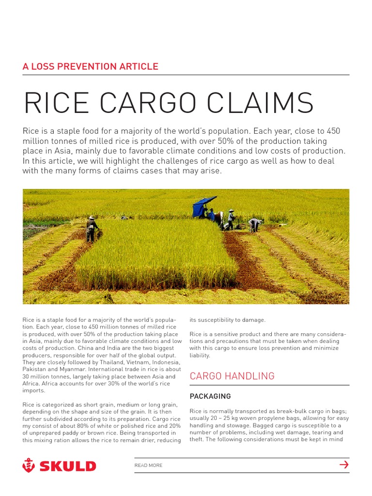 Transportation of Rice Cargo | PDF | Stevedore | Rice