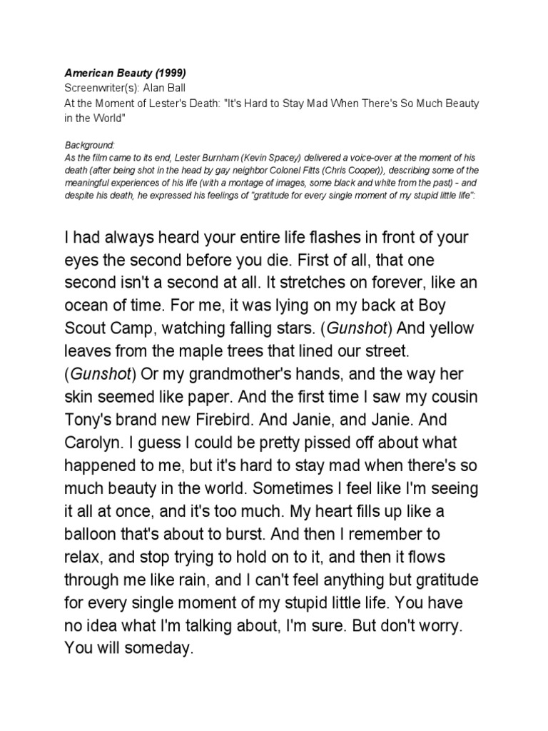 Gratitude For Every Moment - American Beauty | PDF | Mystery, Thriller ...