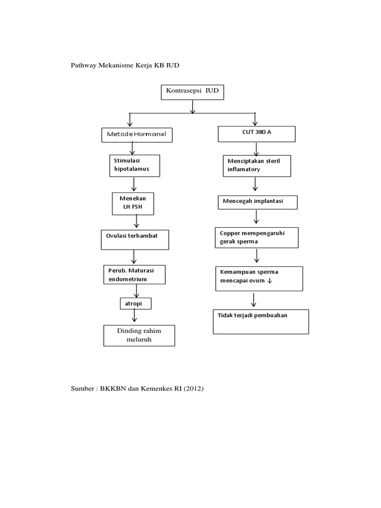 Pathway KB IUD | PDF