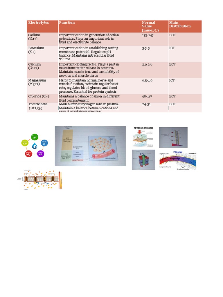 Electrolytes Function Normal Main Value Distribution (Mmol/l) | PDF ...