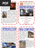 Diptico Desastres Naturales | PDF | Temblores | Tsunami