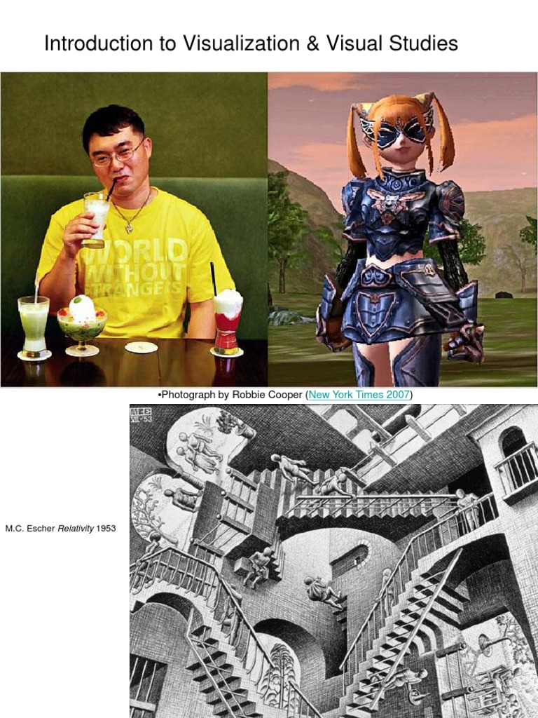 Introduction To Visualization & Visual Studies: - Photograph by Robbie Cooper | PDF