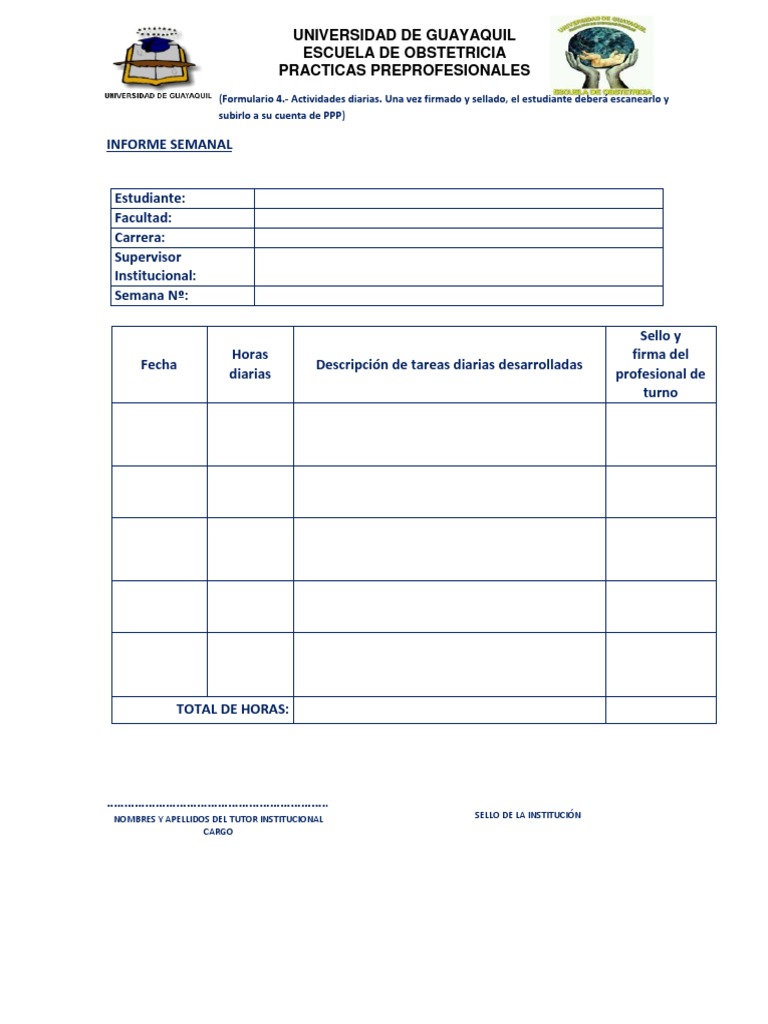 Formato Semanal Sarita | PDF | Business