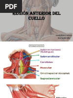 Triangulo de Farabeuf | PDF | Anatomía humana | Cabeza y cuello humanos