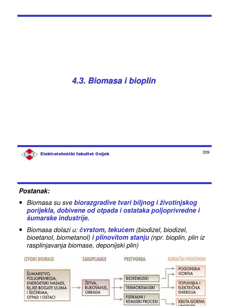 Biomasa I Bioplin | PDF