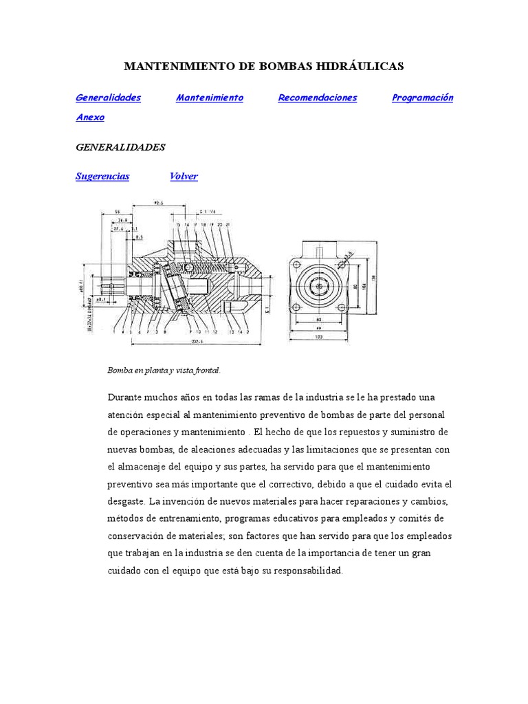 Mantenimiento de Bombas Hidraulicas | PDF | Bomba | Corazón