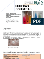 Medio Sim | PDF