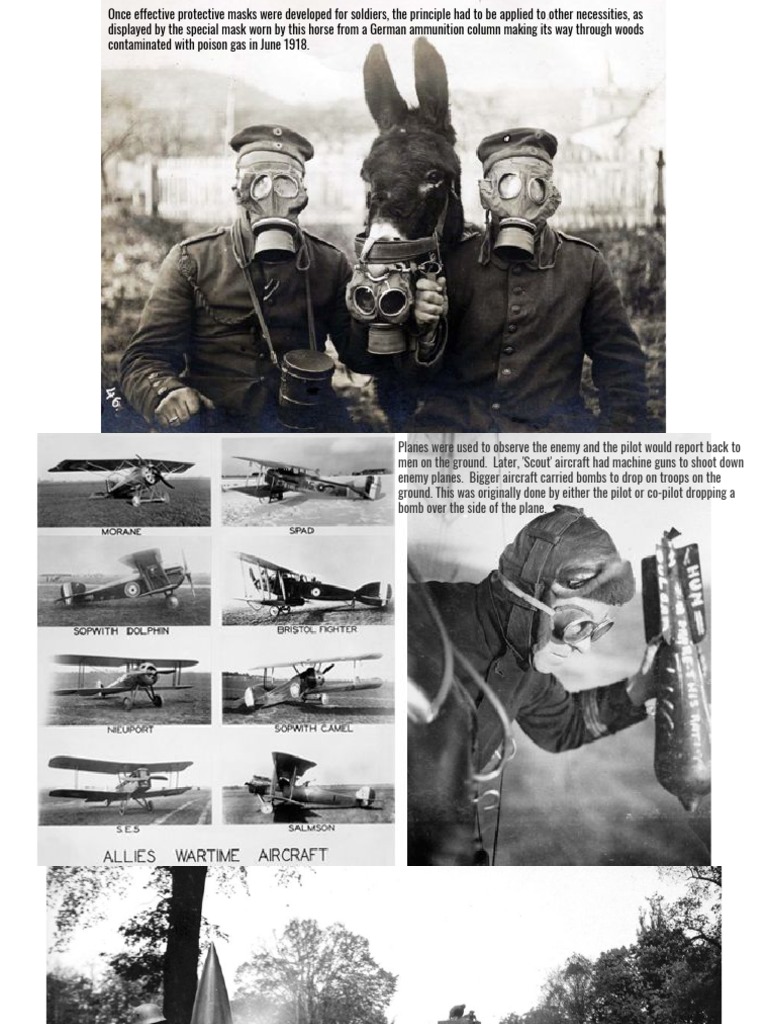 World War One Photographs Gallery Walk | PDF | Trench Warfare | Western ...