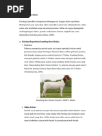 Anatomi Dan Fisiologi Organ Reproduksi Ayam | PDF