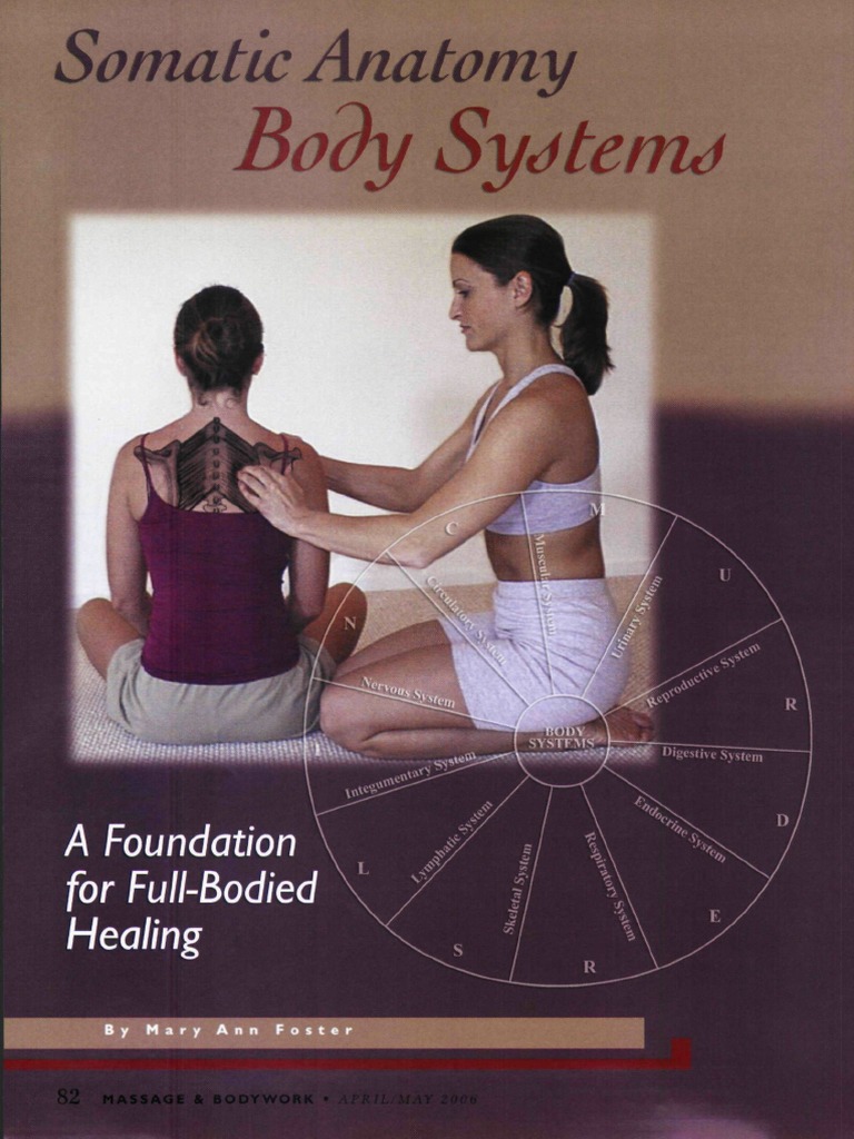 Understanding Somatic Anatomy for Healing | PDF | Massage | Muscle