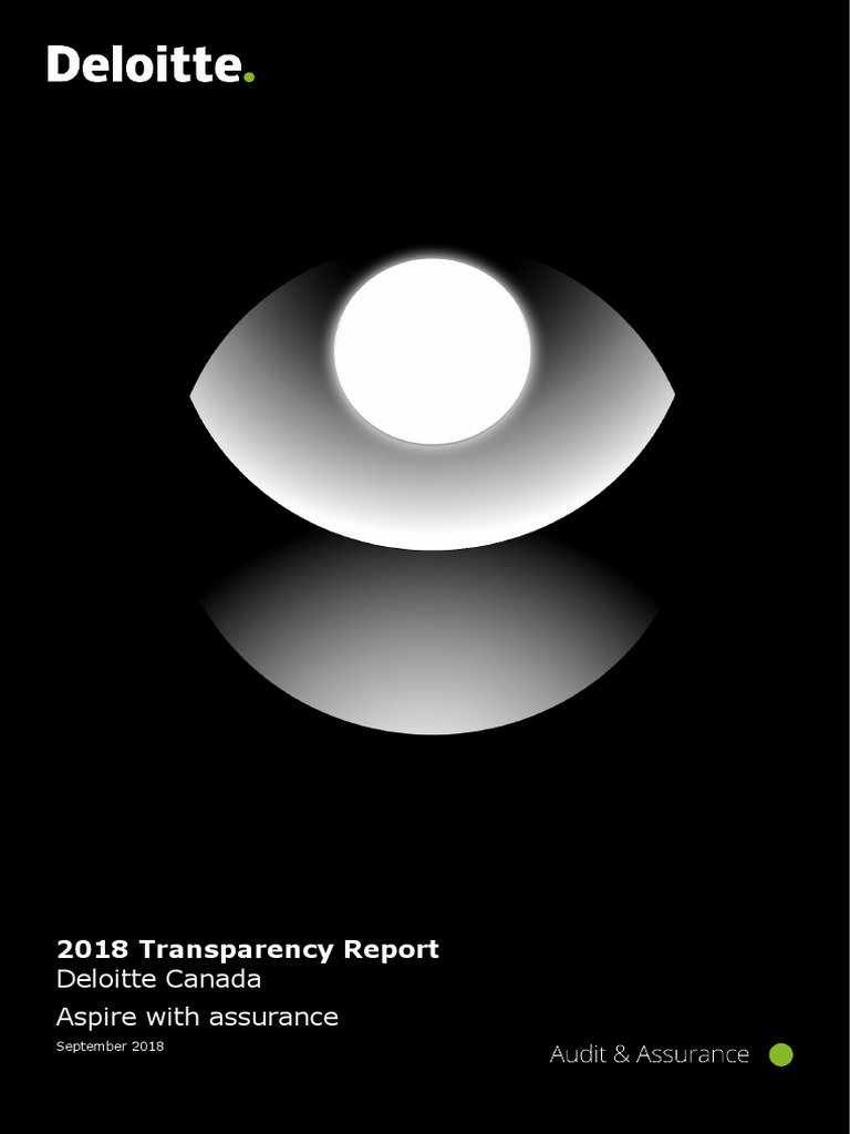 2018 Audit Transparency Report AODA | PDF | Audit | Internal Audit
