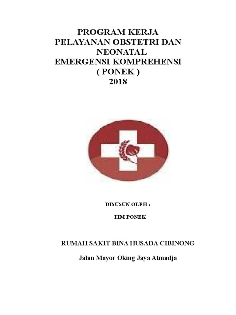 Program Kerja Ponek | PDF