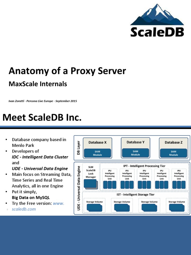 Anatomy of A Proxy Server | PDF | Proxy Server | My Sql