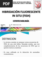 Perfil ENA y detección de autoanticuerpos | PDF | Anticuerpo | Bioquímica
