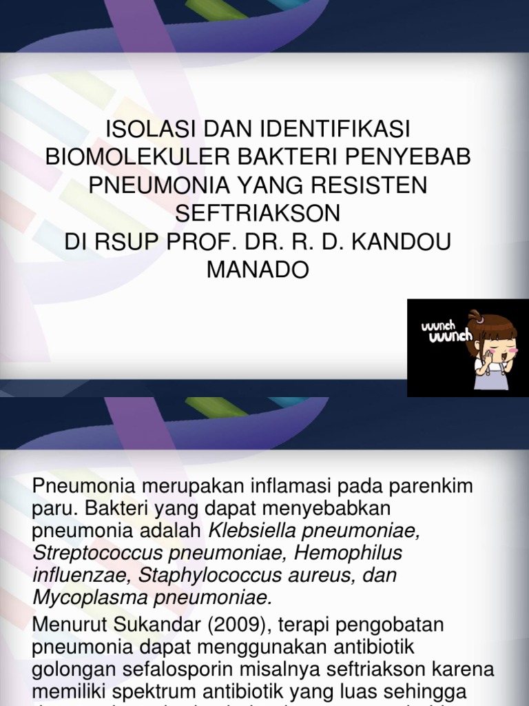 Isolasi Identifikasi Biologi Molekuler | PDF