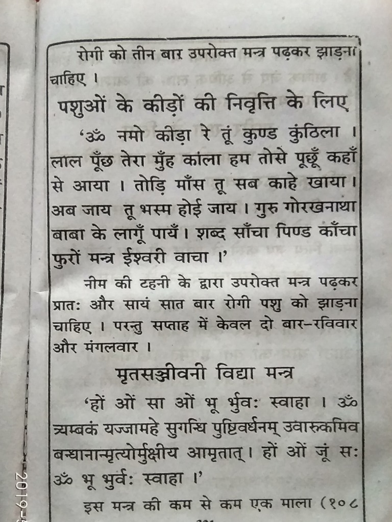 Pashuoke Kide Marne Ka Mantra | PDF