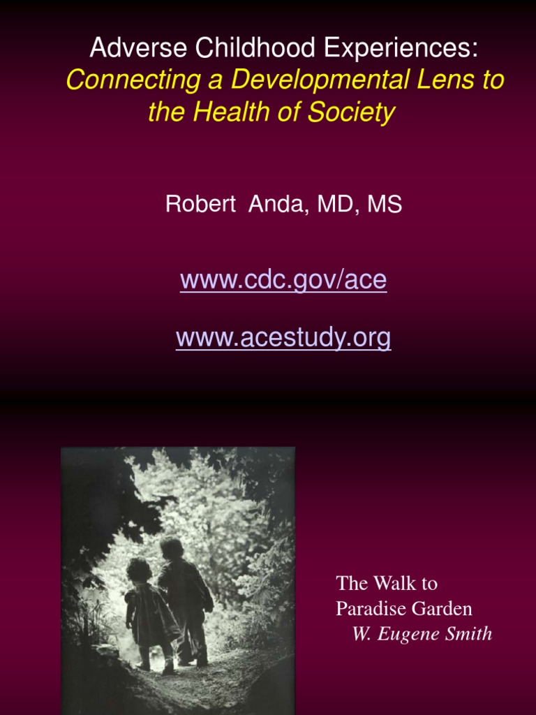 Dr. Robert Anda Presentation PDF | PDF | Child Abuse | Substance Abuse