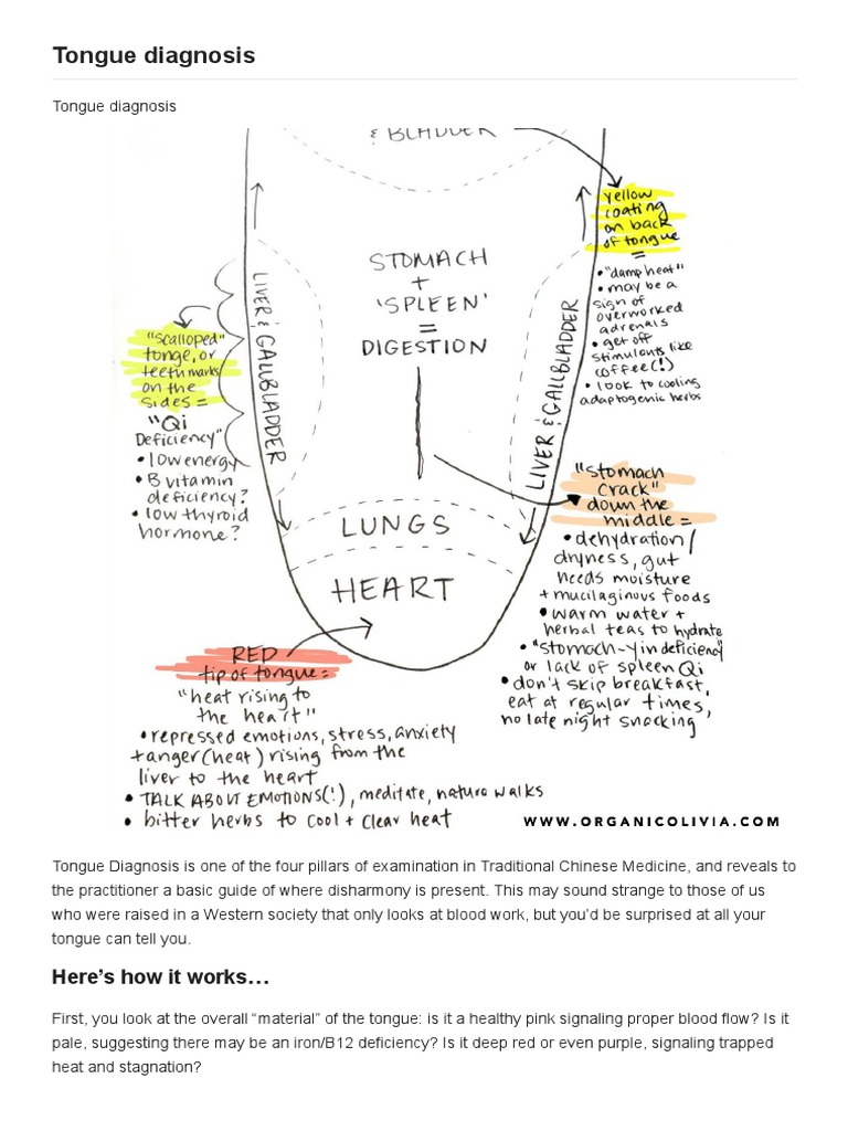 Tongue Diagnosis TCM | PDF | Traditional Chinese Medicine ...
