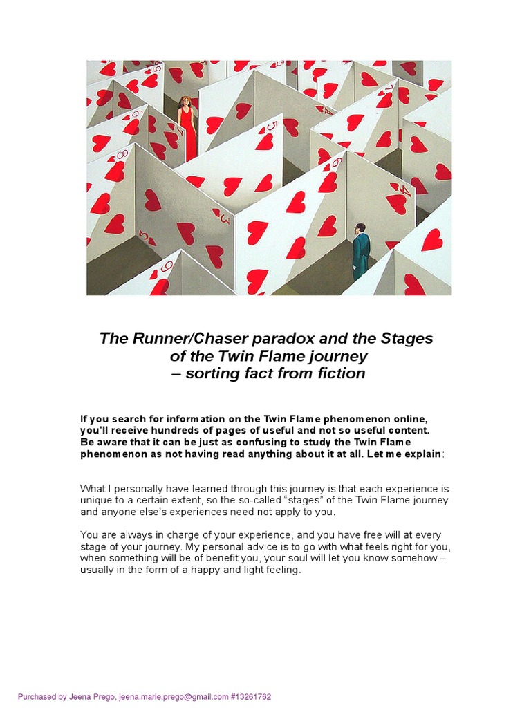 The Runner Chaser Paradox | PDF | Reincarnation | Soul