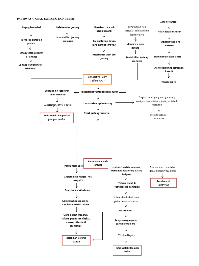 Pathway Gagal Jantung Kongestif | PDF