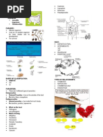 Rug-Adl & Akps | PDF | Health Care | Medicine