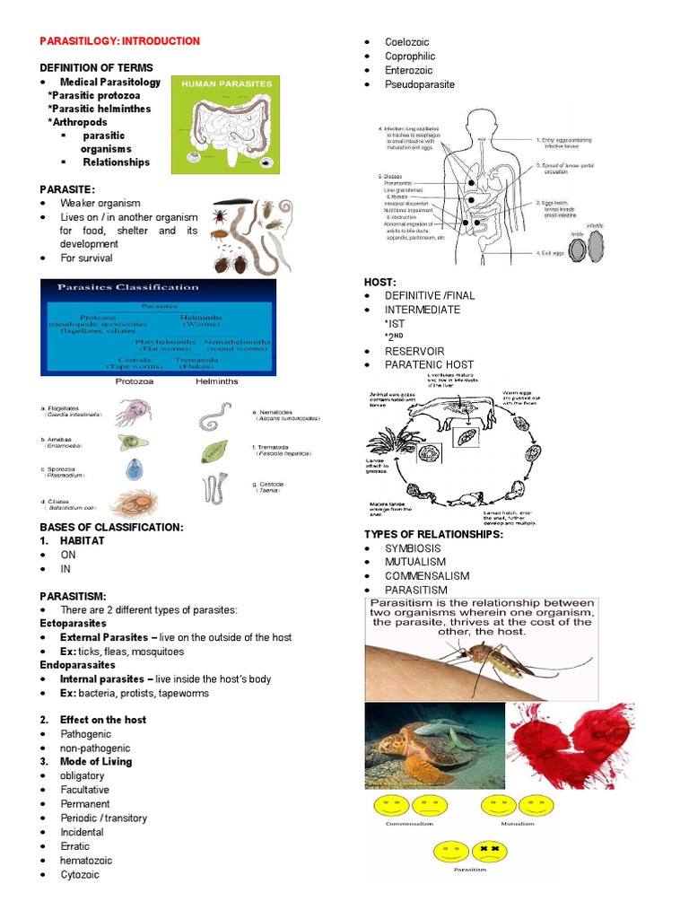 An Introduction to Medical Parasitology: Defining Key Terms ...