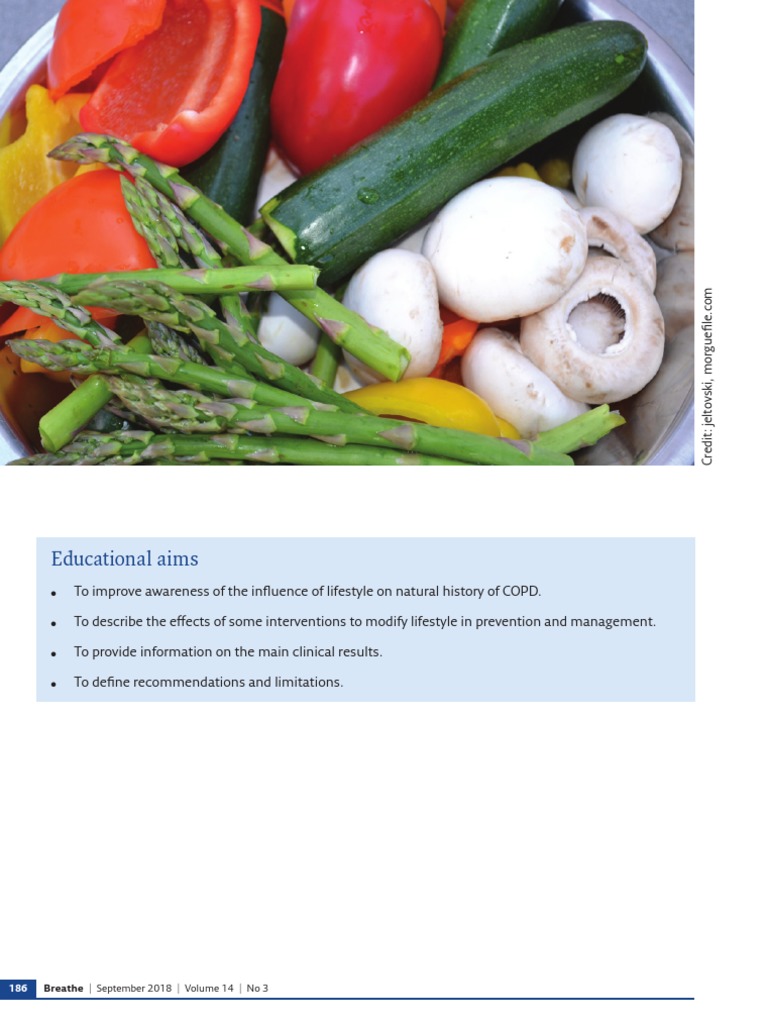 Pathway PPOK | PDF | Chronic Obstructive Pulmonary Disease | Preventive ...