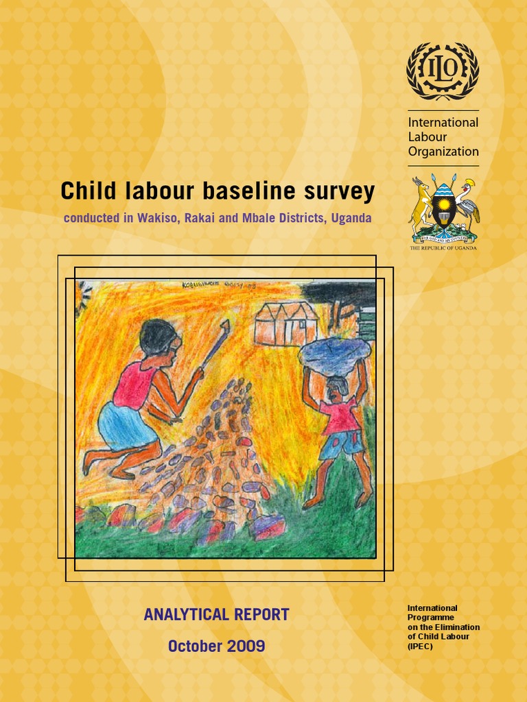 CL Baseline Survey Report PDF | PDF | Occupational Safety And Health ...