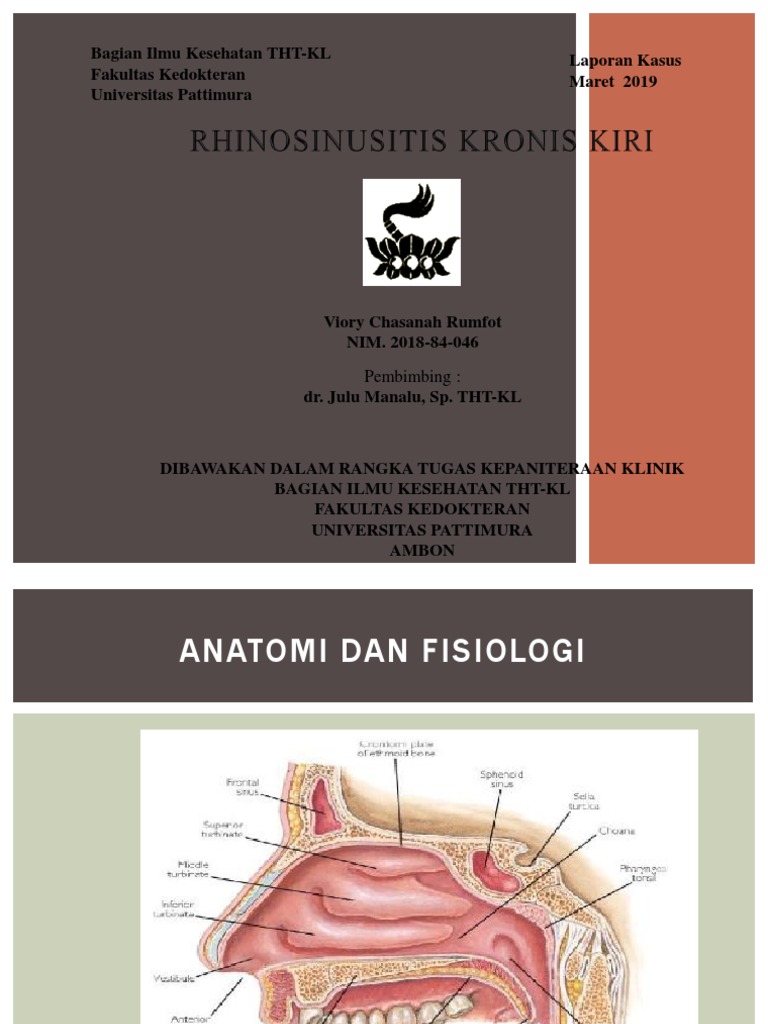 Rhinosinusitis Kronik | PDF