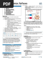 Reflex Arc Worksheet | PDF
