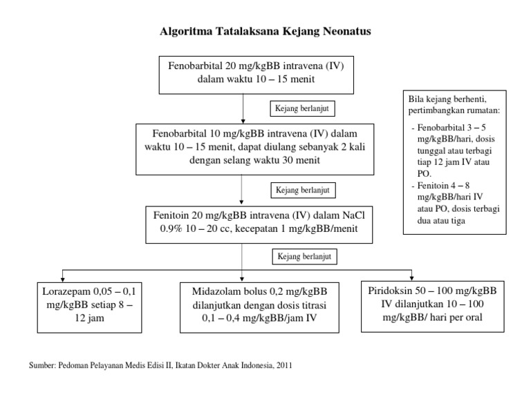 Algoritma Tatalaksana Kejang Neonatus | PDF