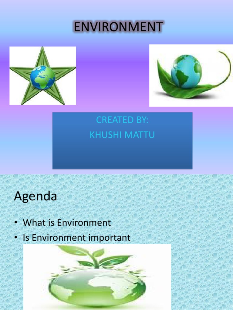 Class 12 Banking Notes | PDF