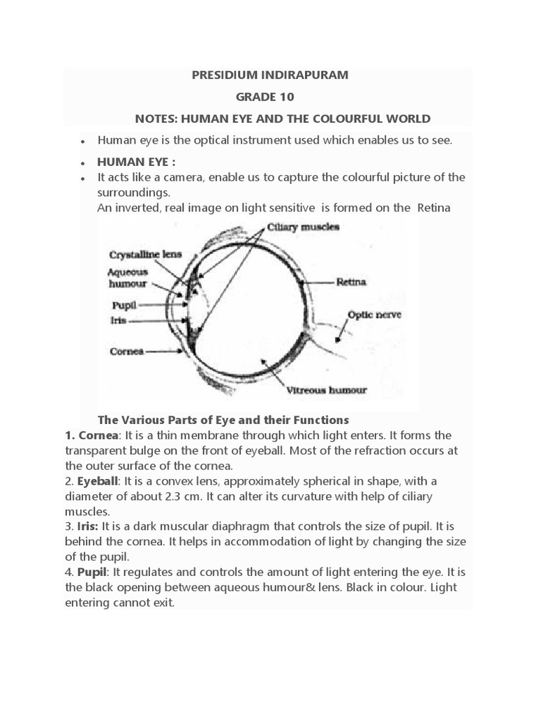 Notes Human Eye | PDF | Human Eye | Eye