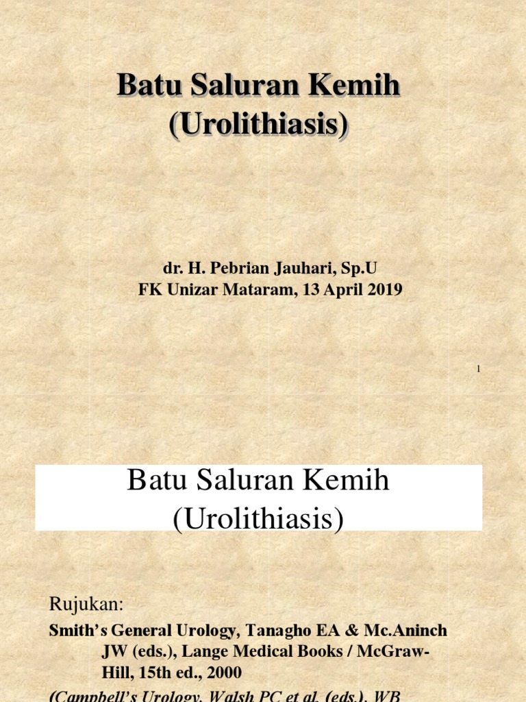 Batu Saluran Kemih | PDF