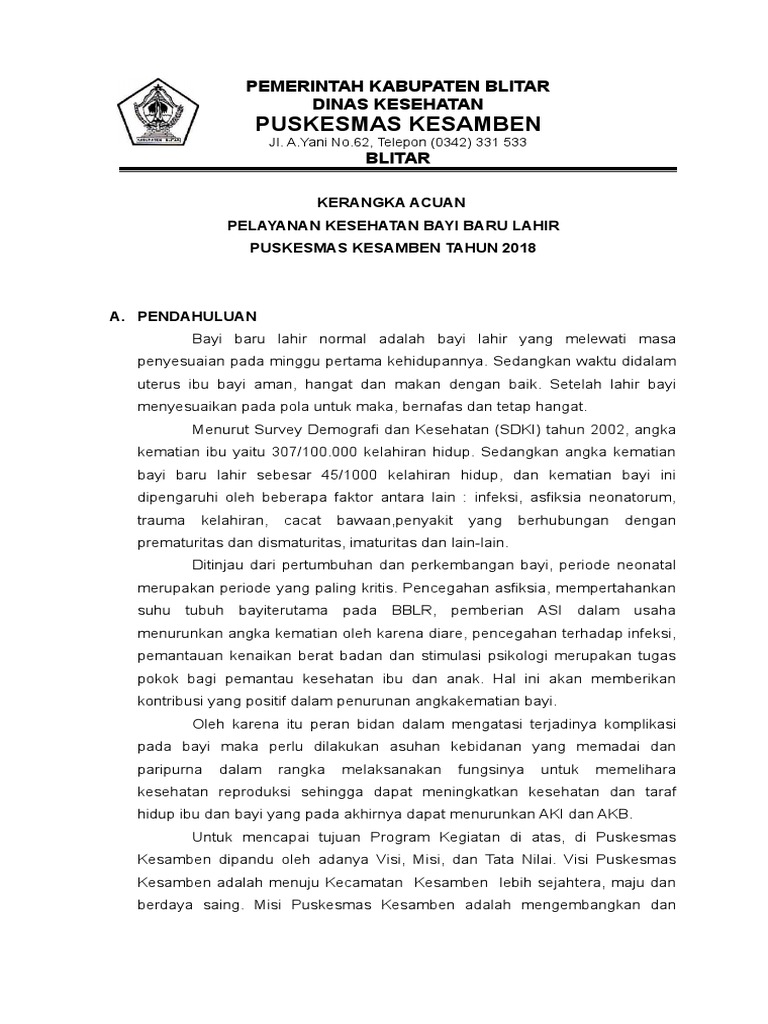 KAK UKP Perawatan Bayi Baru Lahir 2018 | PDF