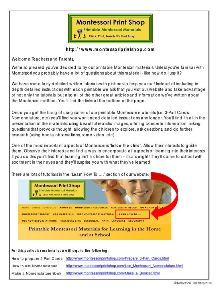 Ciclul de Viata A Unei Buburuze PDF | PDF | Pupa | Coccinellidae