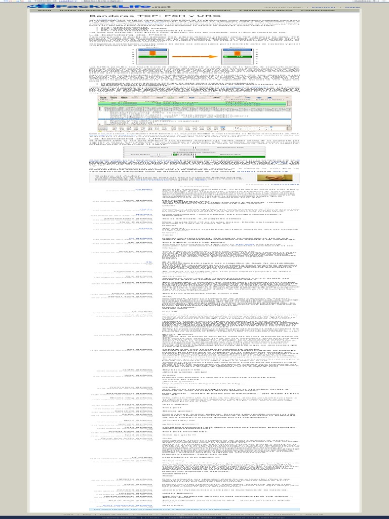 Banderas TCP: PSH y URG Explicadas | PDF | Protocolo de Control de ...