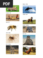 Nombres de 20 Animales Silvestres | PDF