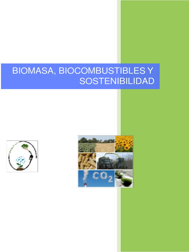 Biomasa, Biocombustibles y Sostenibilidad | PDF | Biomasa | Biocombustible