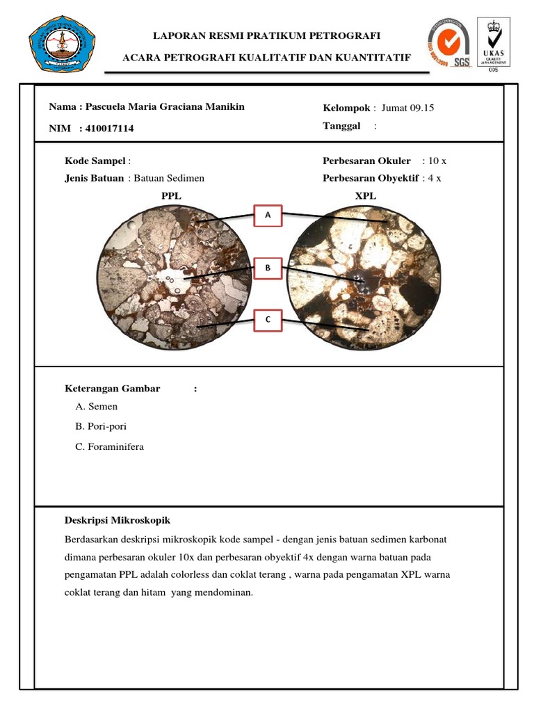 Petrografi Mineral Point Counting | PDF