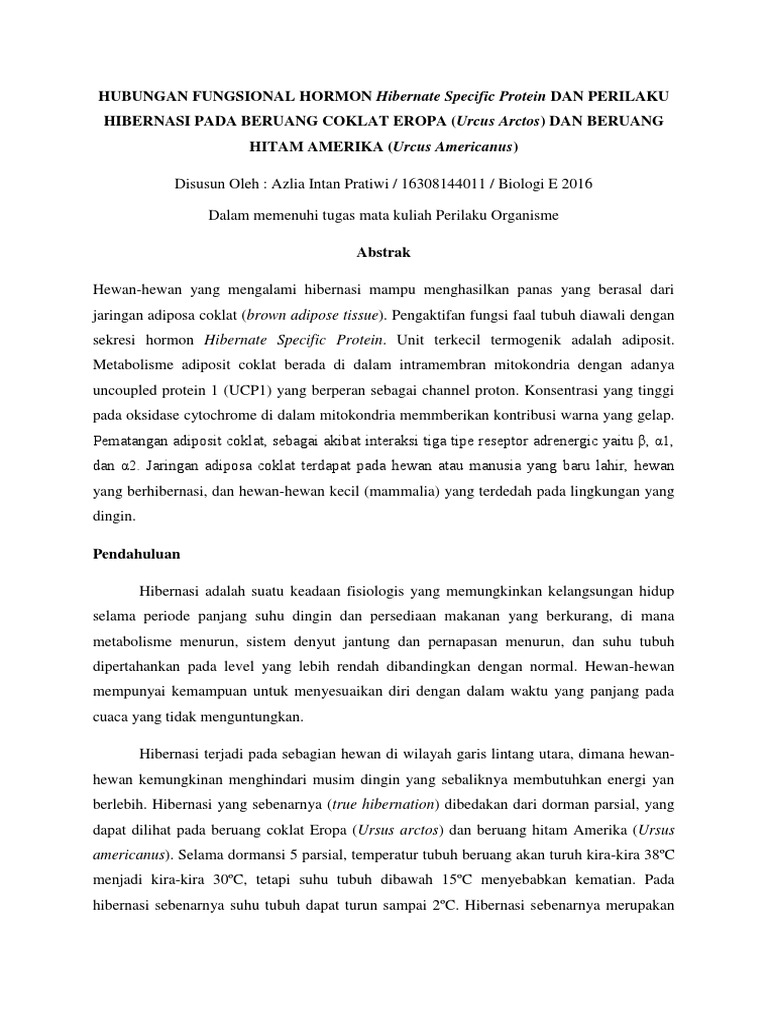 HIBERNASI BERUANG | PDF