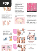 Cancer de Mama - Triptico | PDF
