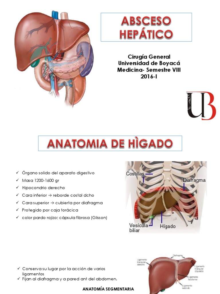 Anatomia.... Absceso Amebiano | PDF | Medicina | Medicina CLINICA
