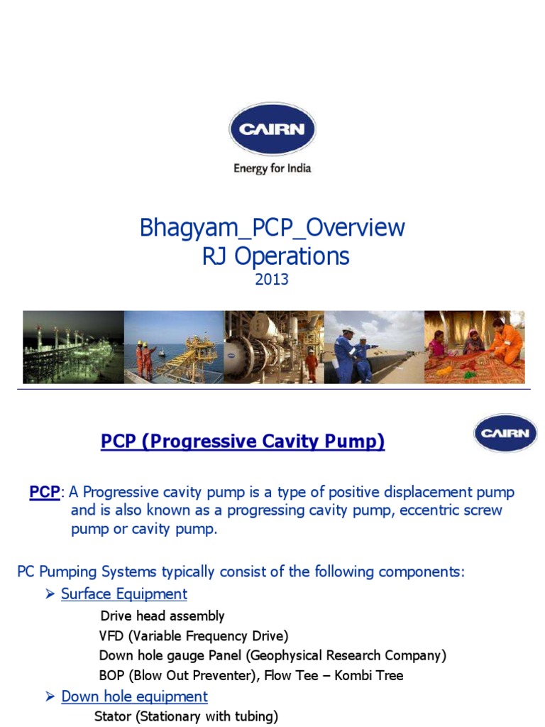 PCP System Technical Guide | PDF | Transmission (Mechanics) | Pump