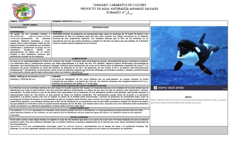 Ficha Tecnica Original Orca | PDF | Orca | Organismos