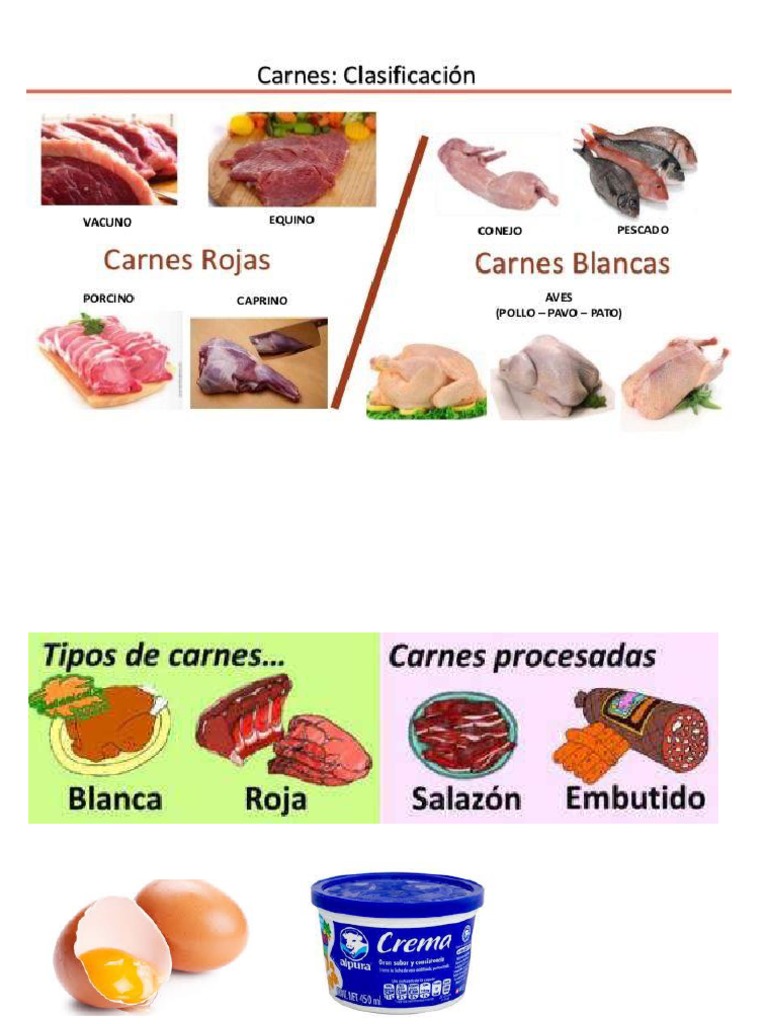 Clasificacion de Carnes | PDF