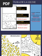 Determinación de Extracto Etéreo en Los Alimentos | PDF | Lípido ...