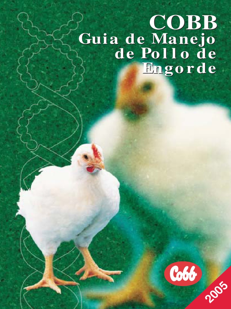 Guía COBB: Manejo de Pollo de Engorde | PDF | Humedad relativa ...