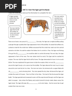 How The Tiger Got Its Stripes | PDF